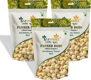 iyurvadik PANEER DODI PHOOL -600 Gm Paneer doda For Diabetic Care Wild ...