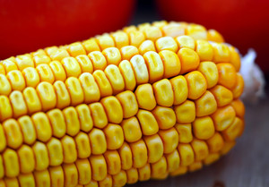 ASPEN Corn | Makka Solam | Seed Price in India - Buy ASPEN Corn | Makka ...