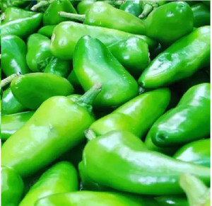 ibains Hybrid bullet chilli,hot chilli seeds,green chilli,vegetable ...