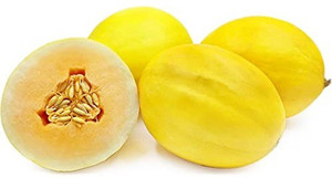 VibeX TLX-7 - Musk Melon Golden (Orange Flesh) - (450 Seeds) Seed Price ...
