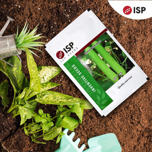 WILLVINE Organic Bottle Gourd Seeds | Loki ke Beej-(10 Gms, 50 Seeds ...