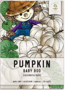 VibeX ® VXI-730 Baby Boo Pumpkin Seeds(Cucurbita Pepo) Seed Price in ...