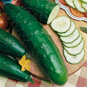 WHYGI Select Slicer Hybrid Cucumber Seeds-CuC_112 Seed Price in India ...