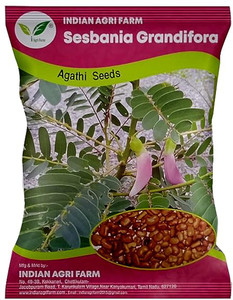 IAgriFarm Sesbania / Agathi / Gaach Munga / August Tree - 1 Kg - for ...