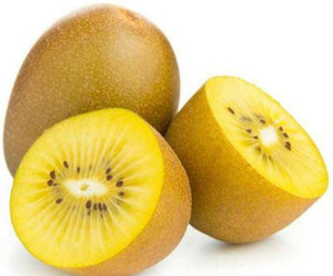Paudha KIWI FRUIT Seed Price in India - Buy Paudha KIWI FRUIT Seed ...