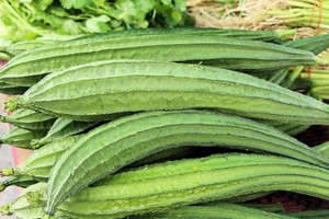 VibeX ® XXL-218 Ridge Gourd |Turia Non-GMO Seed Price in India - Buy ...