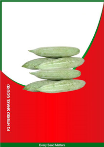 VibeX ® VMR-131 Snake Gourd Nimo Seeds Seed Price in India - Buy VibeX ...