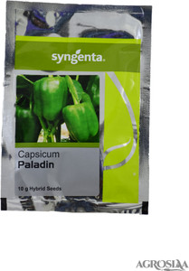 syngenta Capsicum Paladin 10GM Seed Price in India - Buy syngenta ...