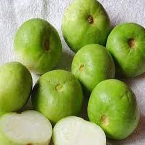 JRYU Tinda Hybrid Vegetable Seed Price in India - Buy JRYU Tinda Hybrid ...