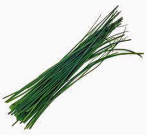 VibeX XLR-91 - Yellow Chives Leek Plant - (2250 Seeds) Seed Price in ...
