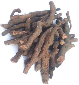 VINARGHYA Anjbar Root / Anjwar / Knotgrass / Bannalia / Bijband / Bird ...