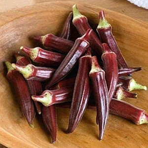 Quentova ( Lady's Finger, Bamia) Burgundy Red-KMT-8W Seed Price in ...