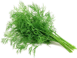 Biosnyg Sowa [1000 Seeds] Seed Price in India - Buy Biosnyg Sowa [1000 ...