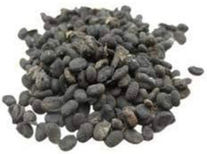 ROSEMERC Bavanchi/ Bavanchalu / Babchi / Lalakasturi/ Psoralia ( 100 ...