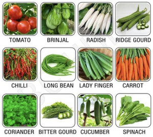 FRESHOO TOMATO,BRINJAL,CILLI,BITTERGUARD,BOTTLEGUARD,8 TYPES VEGETABLES ...