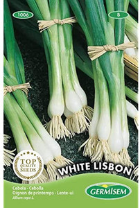 CYBEXIS White Lisbon Onion Seed Price in India - Buy CYBEXIS White ...