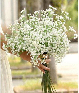 ACCELCROP Gypsophila Gypsy Compact White Flower Seed Price in India ...