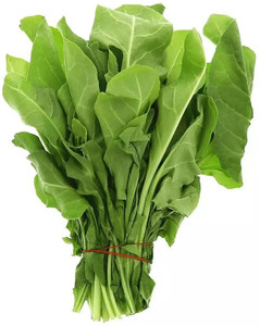 MYLAWN Palak Spinach Vegetables Seed Price in India - Buy MYLAWN Palak ...