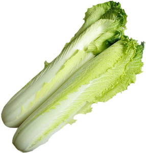CYBEXIS Hybrid Chinese Long Cabbage Seeds2000 Seeds Seed Price in India ...