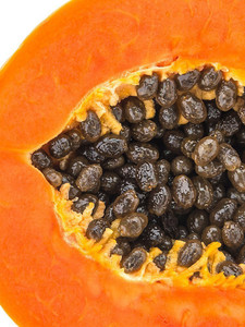 Farmonix PAPITA Seed Price in India - Buy Farmonix PAPITA Seed online ...