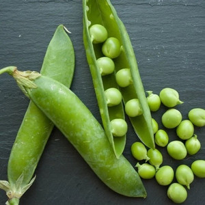 MYLAWN Green Peas Matar Seed Price in India - Buy MYLAWN Green Peas ...