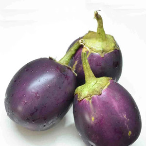 eShoptail Brinjal Purple Round F1 Hybrid Seeds (Bainganee Baingan ...