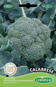 CYBEXIS Calabrese Broccoli Seeds-250 Seeds Seed Price in India - Buy ...