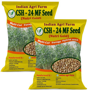 IAgriFarm CSH-24 MF (Nutri Gold) Sorghum Seeds - 2 Kg - Multi-Cut ...
