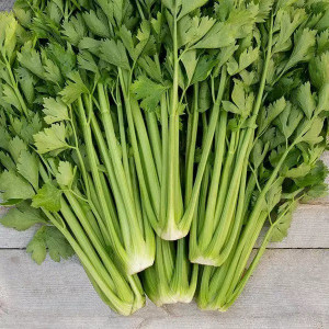 ENTENT Organic Celery Vegetable Seed Price in India - Buy ENTENT ...