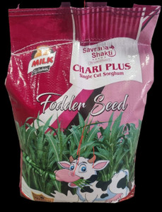 SAVRANA SHAKTI Singal Cut Jawar, Chari Plus Sorghum, Hari Chari 10Kg ...