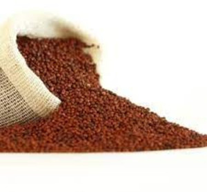 ANDARISTORE ANDARI STORE Finger Millet 500g/Kezhavaragu/Ragi/Panji ...