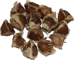 VibeX KGF -54 - Fully Matured Black Moringa - (450 Seeds) Seed Price in ...