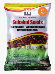 Numinous Subabul, Safed Babool, Soundal, Leucaena Leucocephala, Fodder ...