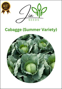 JIA CABBAGE SEEDS, PATTA GOBI SEEDS, KOBI SEEDS, BANDHA KOBI SEEDS ...