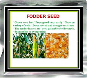 Qualtivate RES-4A CORN/MAIZE FODDER SEED Seed Price in India - Buy ...
