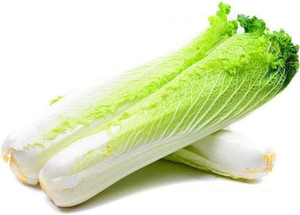 CYBEXIS Chinese Long Cabbage Seeds-250 Seeds Seed Price in India - Buy ...