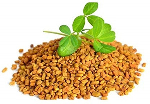 KNESSiN Fenugreek Methi[2000 Seeds] Seed Price in India - Buy KNESSiN ...