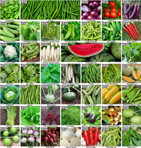 Agrey combo of 45 variety vegetable seeds with instruction manual. Seed ...