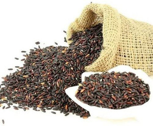 STOKIYA BLACK RICE PADDY F1 HYBRIDE VARIETY RAREST MANIPURI PADDY (20KG ...