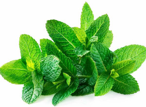 FOURGANIC Spearmint Seeds ~Mentha spicata~ Garden Mint Seed Price in ...