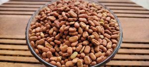 POOJAAGRO Sesbania Grandiflora, HADGA, AGATI, AVISA Seed Price in India ...