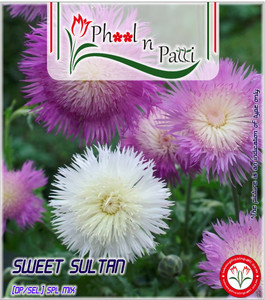 Phool n Patti Sweet Sultan OP Seed Price in India - Buy Phool n Patti ...