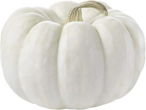 VibeX ® VXI-590 Casperita Mini White Pumpkin Seeds Seed Price in India ...