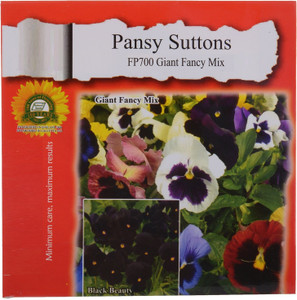 CYBEXIS Pansy Giant Fancy Mix Flower Seeds Seed Price in India - Buy ...