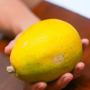 PLANTORISH Papaya Seed, P -300, Orgnic Fruit & Vegetable Seed, Papita ...