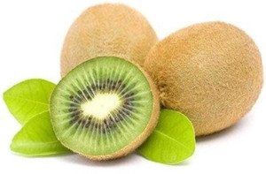 Paudha KIWI FRUIT Seed Price in India - Buy Paudha KIWI FRUIT Seed ...