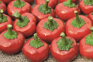 CYBEXIS Pepper (Chilli) - Cherry Bomb Seeds1200 Seeds Seed Price in ...