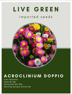 Udanta Live Green Imported Seeds - Acroclinium Doppio Mix Flower Seeds ...