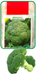 WILLVINE GUA-204 Gypsy Broccoli Seed Seed Price in India - Buy WILLVINE ...