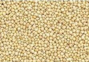 ANDARISTORE ANDARI STORE White Jowar Grains 500g/Cholam/ Vella solam ...